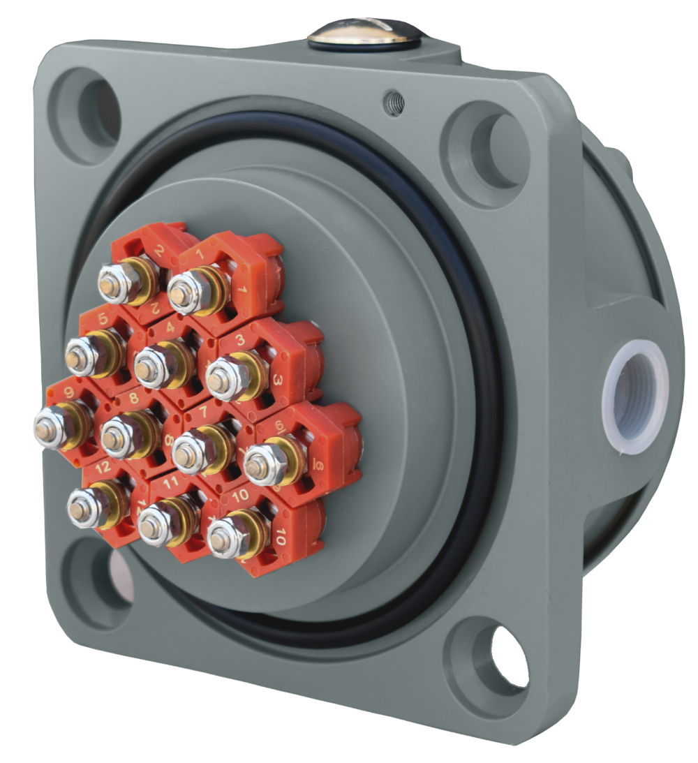 Welcome to SUKRUT India