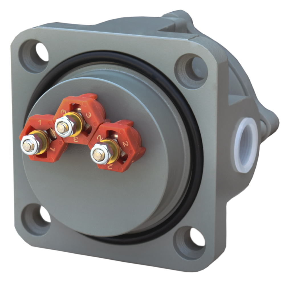 Welcome to SUKRUT India